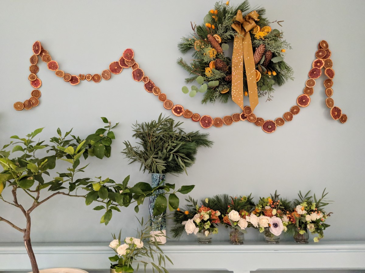 Botanical Illustration Blog | Charlotte Argyrou, London